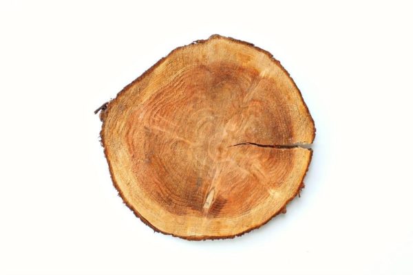 Large Wood Round Slabs - The Style Aesthetic